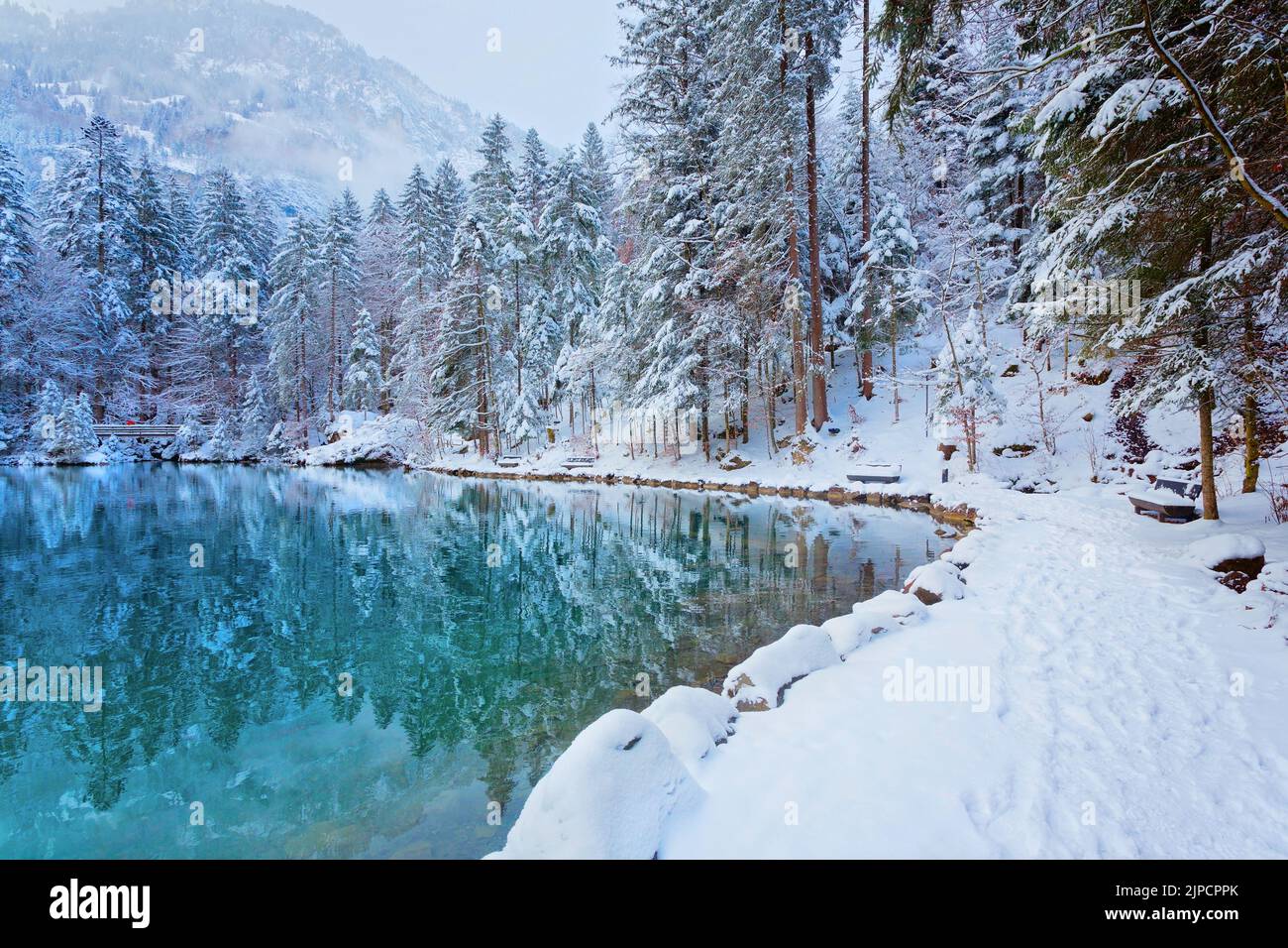 Lake Blausee in Bernes Highlands, Alps, Switzerland Stock Photo - Alamy