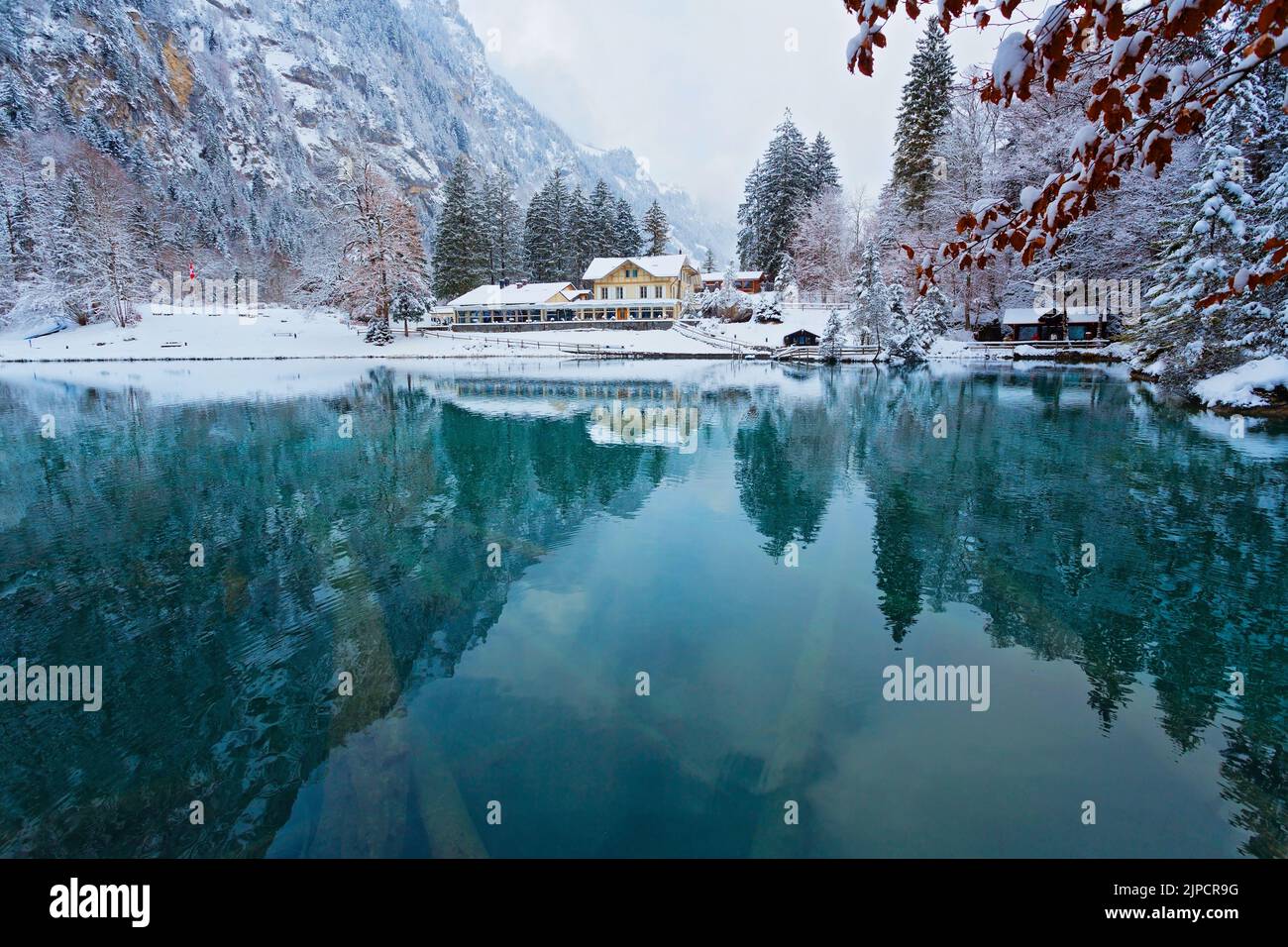 Lake Blausee in Bernes Highlands, Alps, Switzerland Stock Photo - Alamy