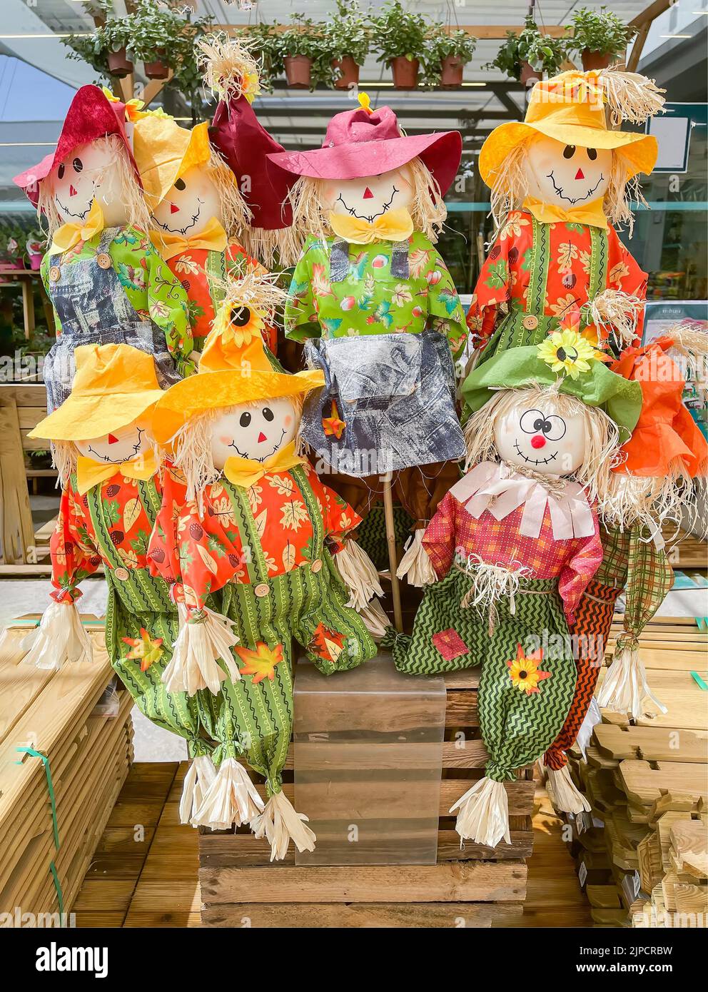 funny group of rag straw scarecrows, dressed in colorful clothes and ...