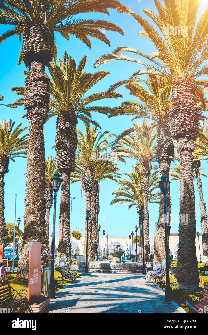 Yanahuara Plaza with the Arches on background - Arequipa, Peru, Palm ...