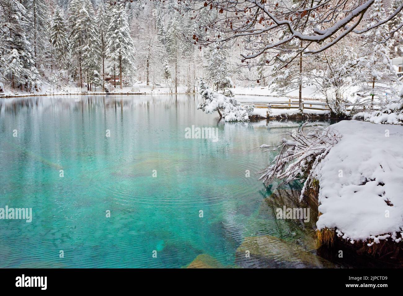Lake Blausee in Bernese Highlands during winter, Switzerland Stock ...