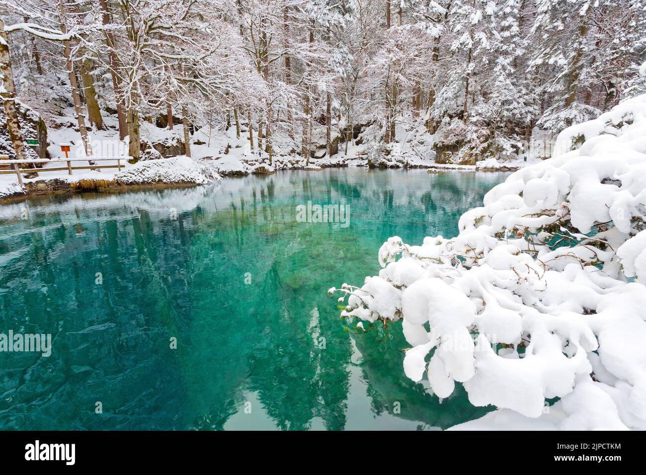 Lake Blausee in Bernes Highlands, Alps, Switzerland Stock Photo - Alamy