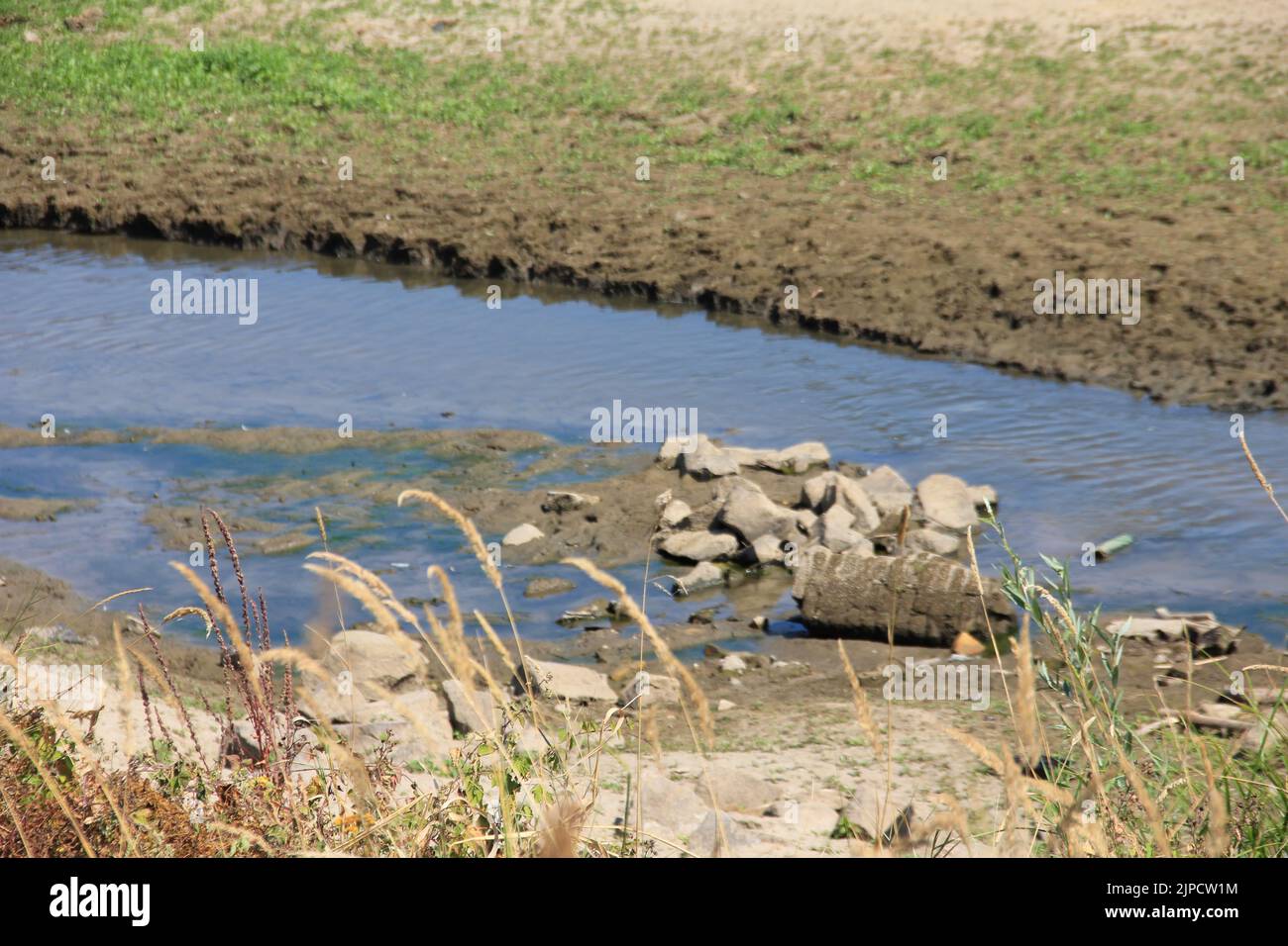 river waal near nijmegen Stock Photo - Alamy