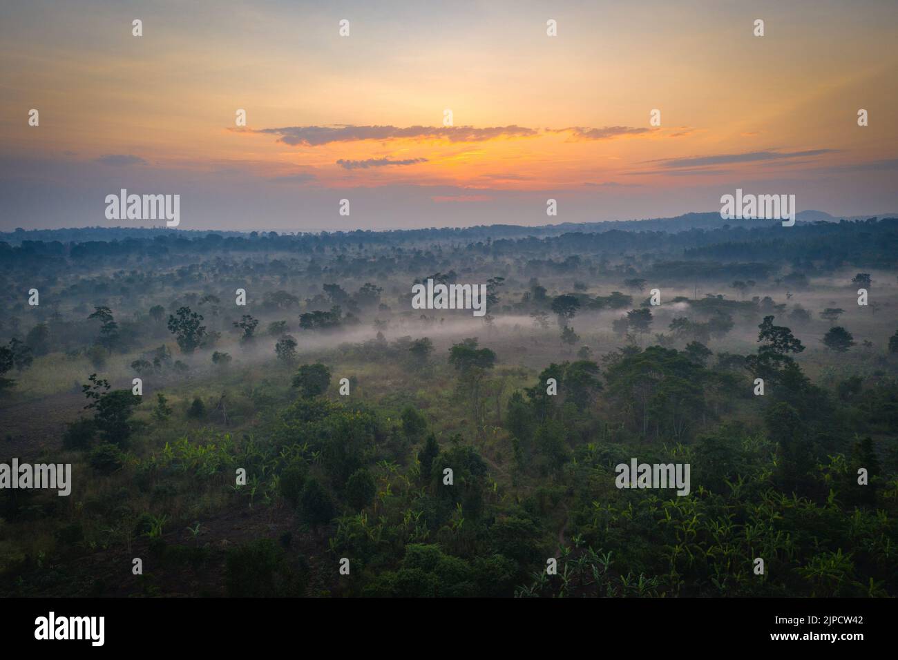 Uganda forest aerial hi-res stock photography and images - Alamy