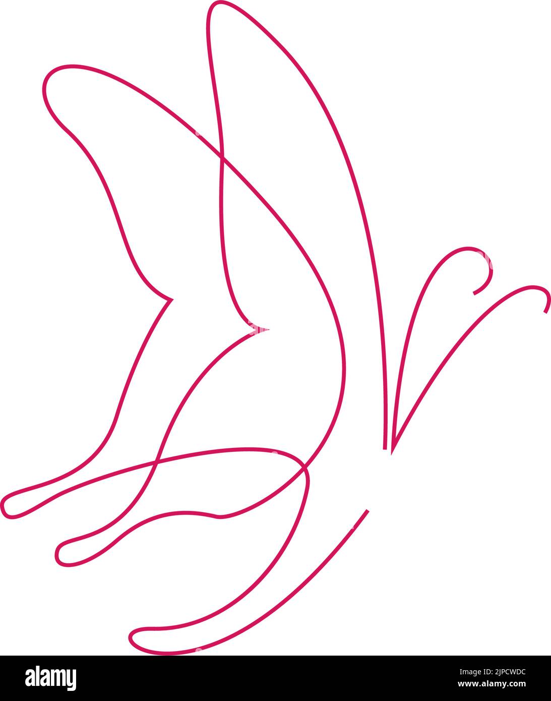 Butterfly line art image illustration template Stock Vector Image & Art ...