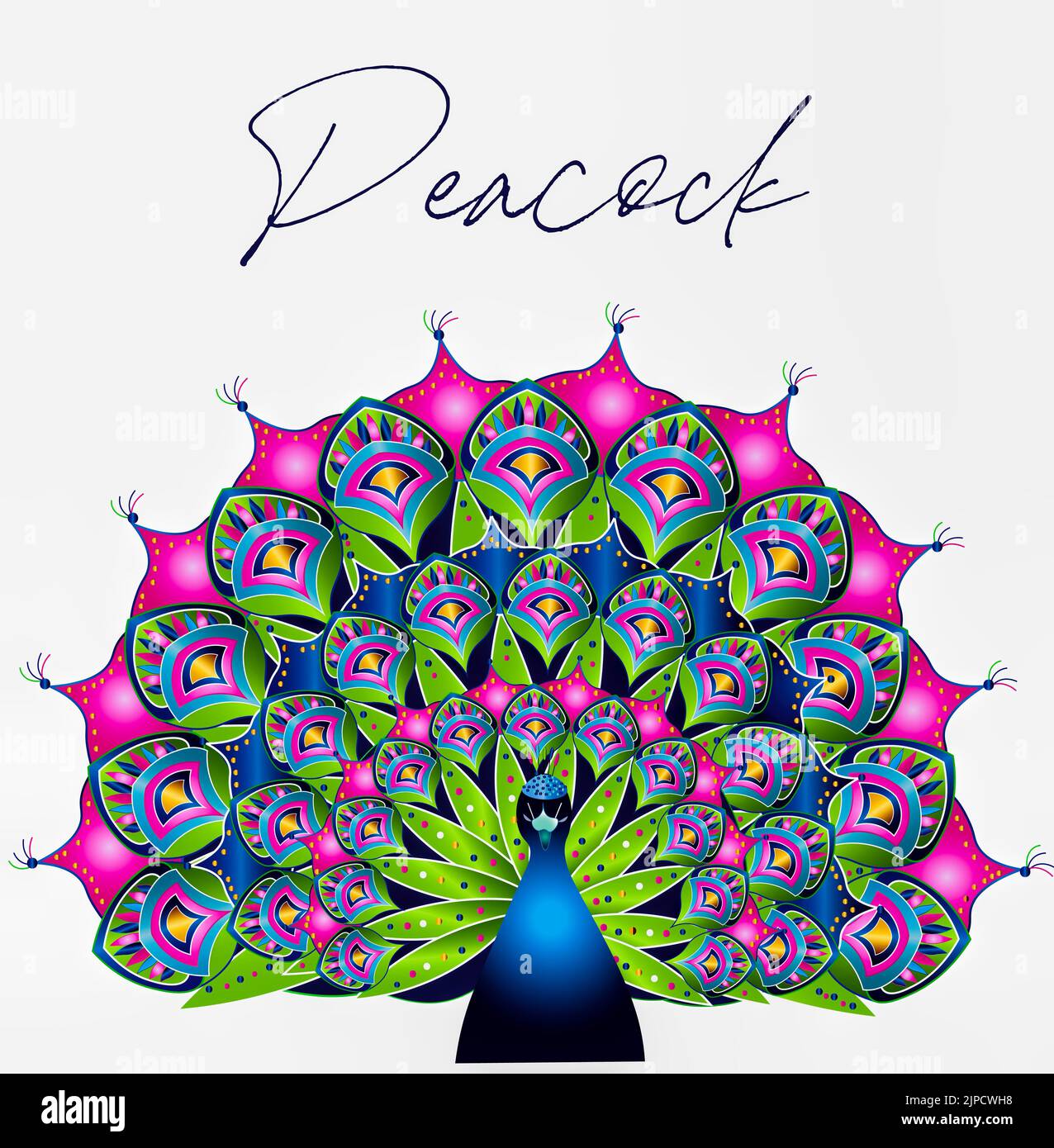 Graphic of an Abstract Peacock in a beautiful array of designs and ...
