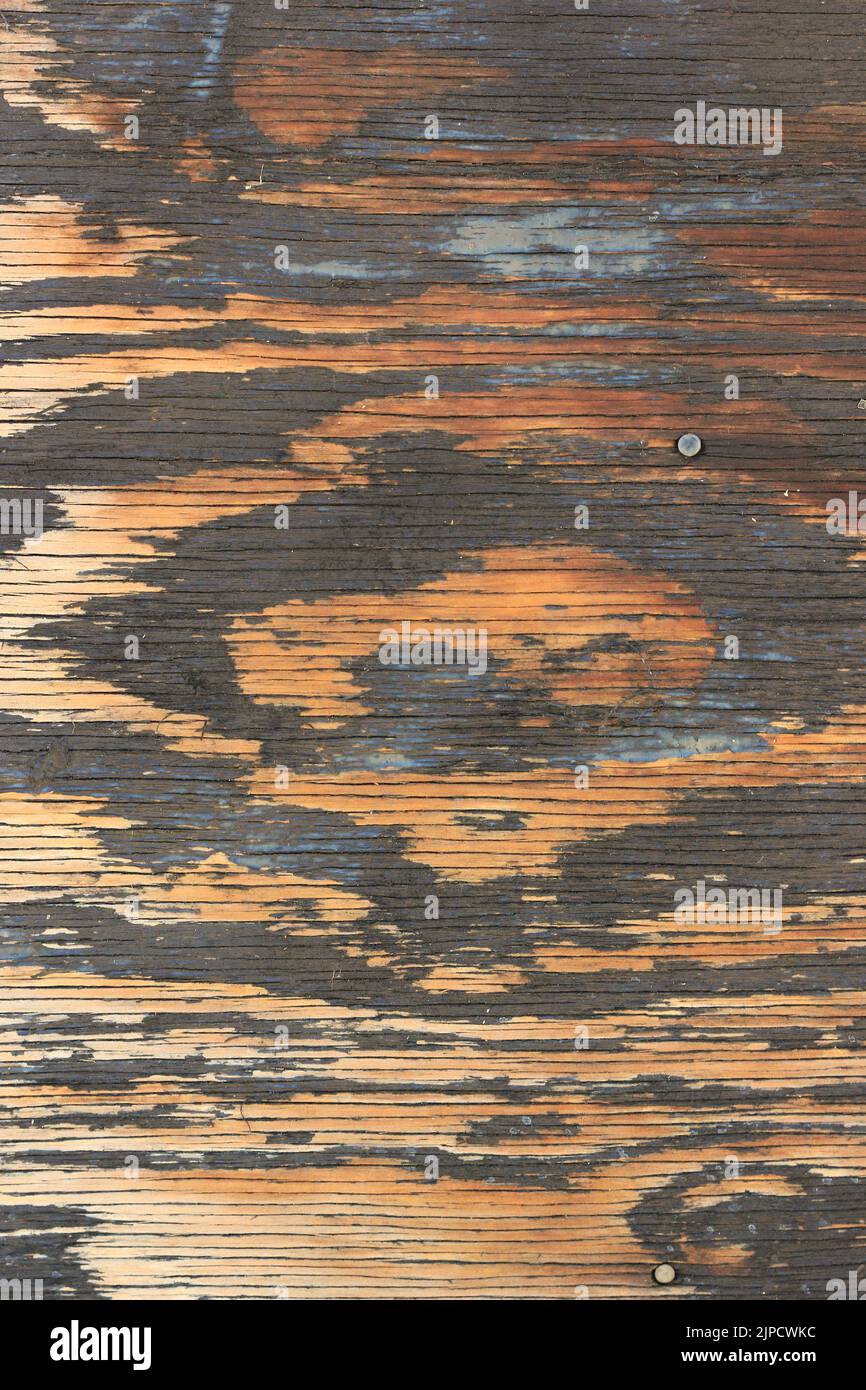 Wooden plank surface with lots of wood grain texture Stock Photo - Alamy