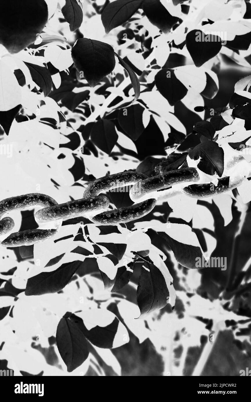 Glow strong Black and White Stock Photos & Images - Alamy