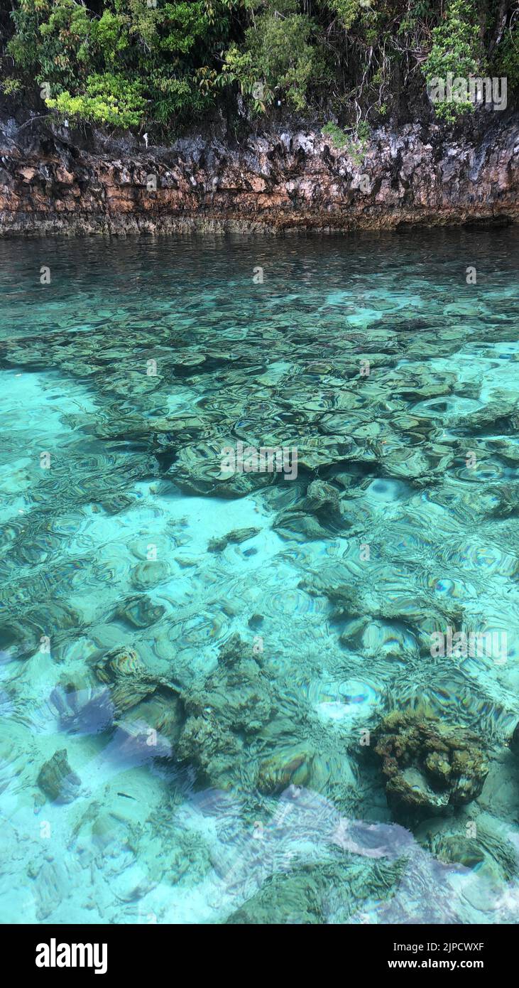 A vertical shot of shallow coral reefs in turquoise transparent water ...