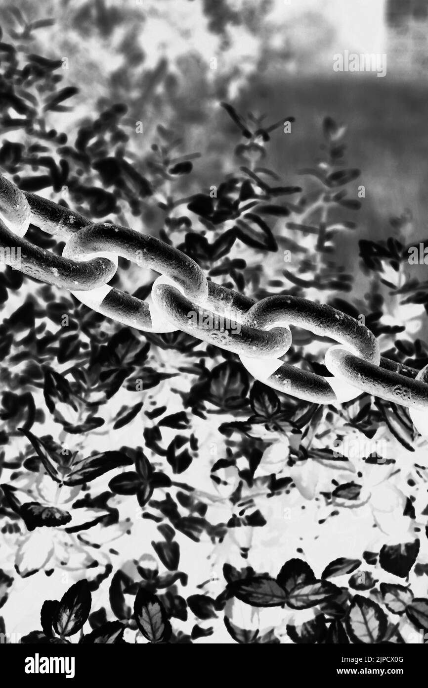 Glow strong Black and White Stock Photos & Images - Alamy