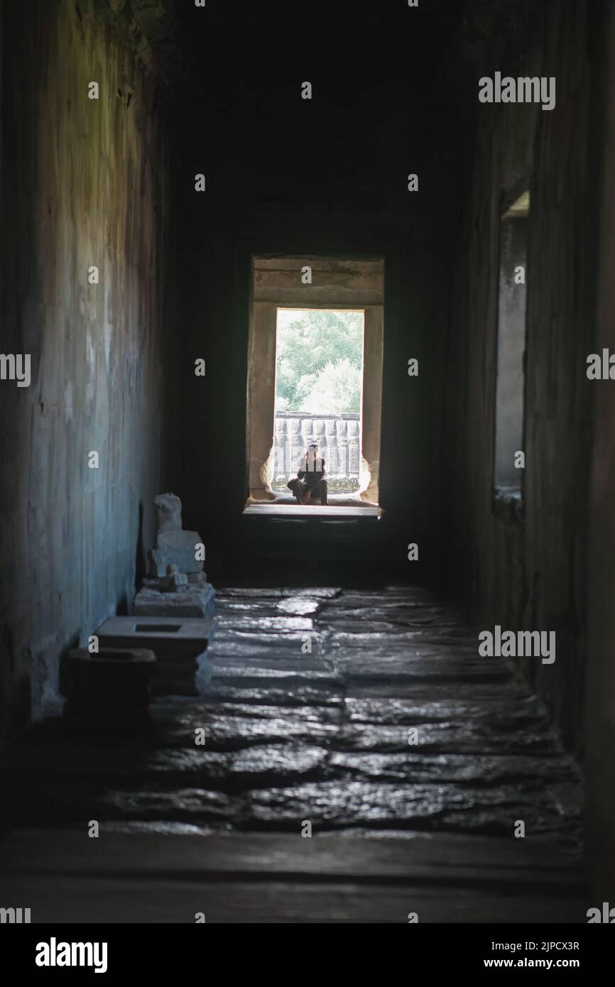 Unesco buddhas hi-res stock photography and images - Alamy