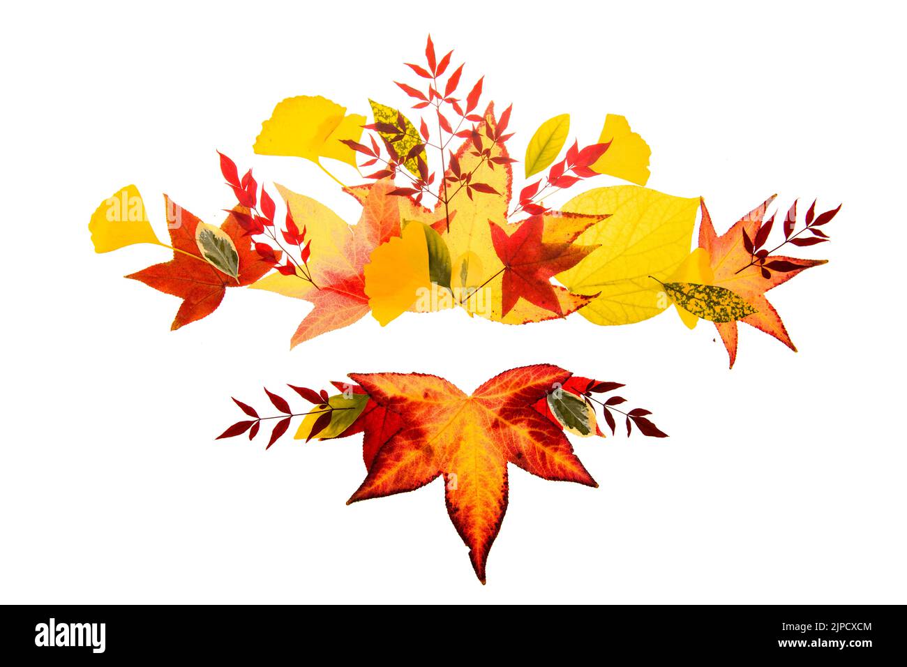 Autumn Frames And Borders