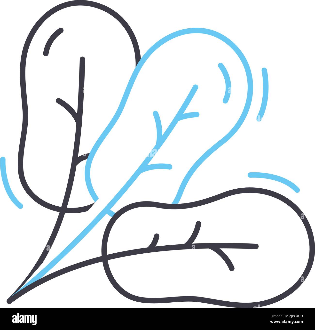 spinach line icon, outline symbol, vector illustration, concept sign ...