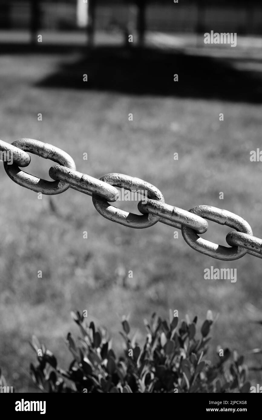 Common in construction and in gardening Black and White Stock Photos ...