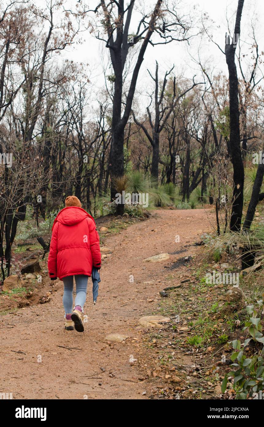 Noble falls walk trail hi-res stock photography and images - Alamy