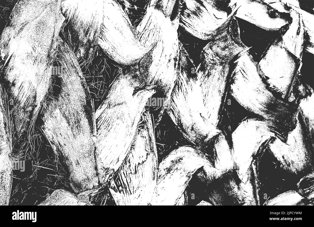 Distressed overlay palm bark texture on the ground. grunge black and ...