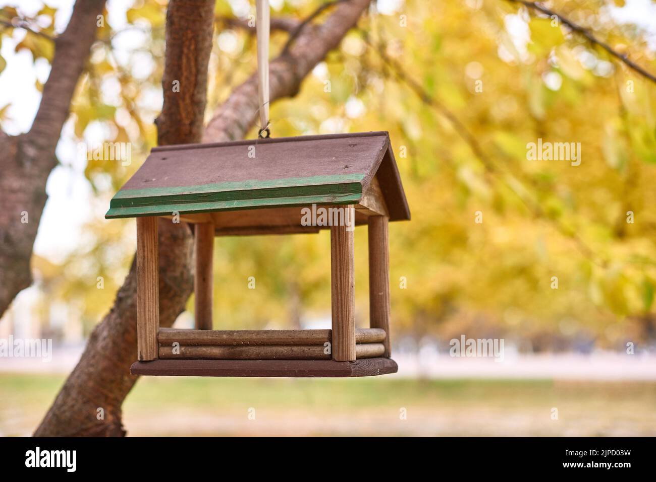 brown bird feeder hanging on tree branch with yellow leaves, autumn ...