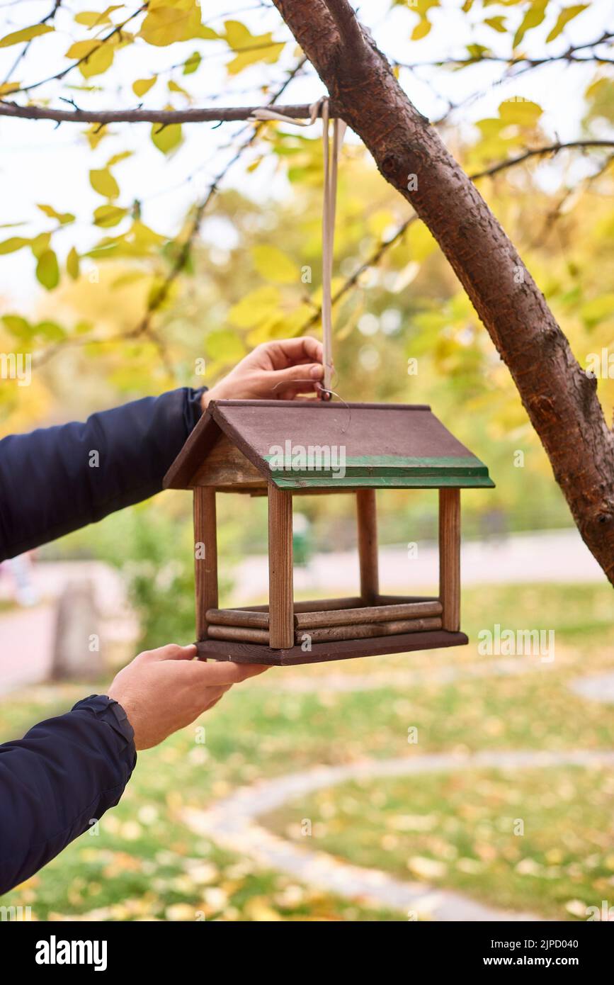 brown bird feeder hanging on tree branch with yellow leaves, autumn ...
