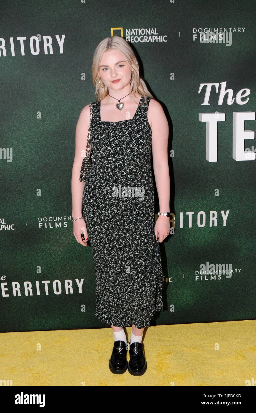 Morgan tavern hi-res stock photography and images - Alamy