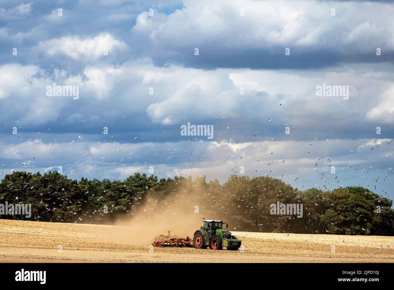 Stubble field hi-res stock photography and images - Alamy