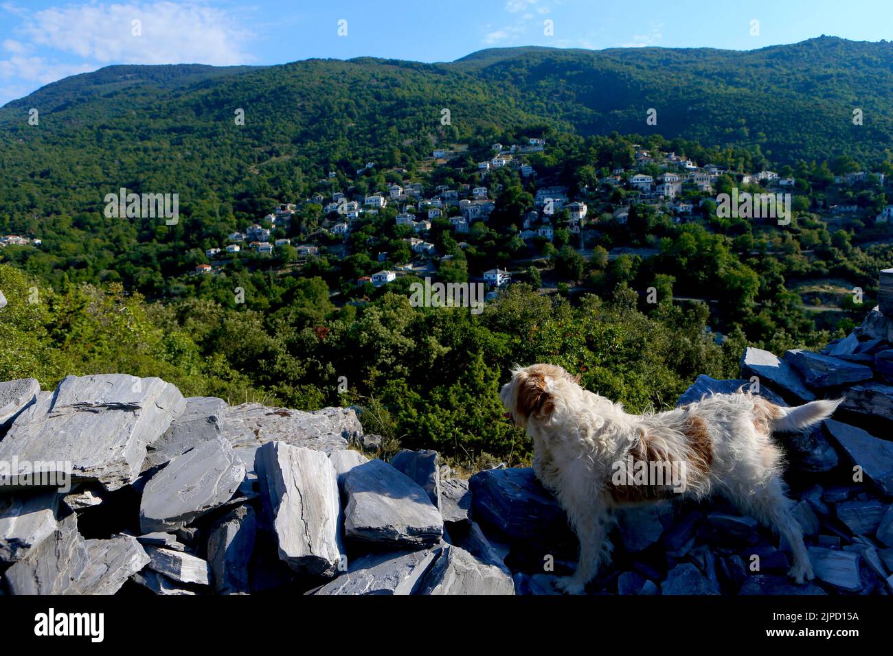 Traditional village at Pilio Greece Stock Photo - Alamy