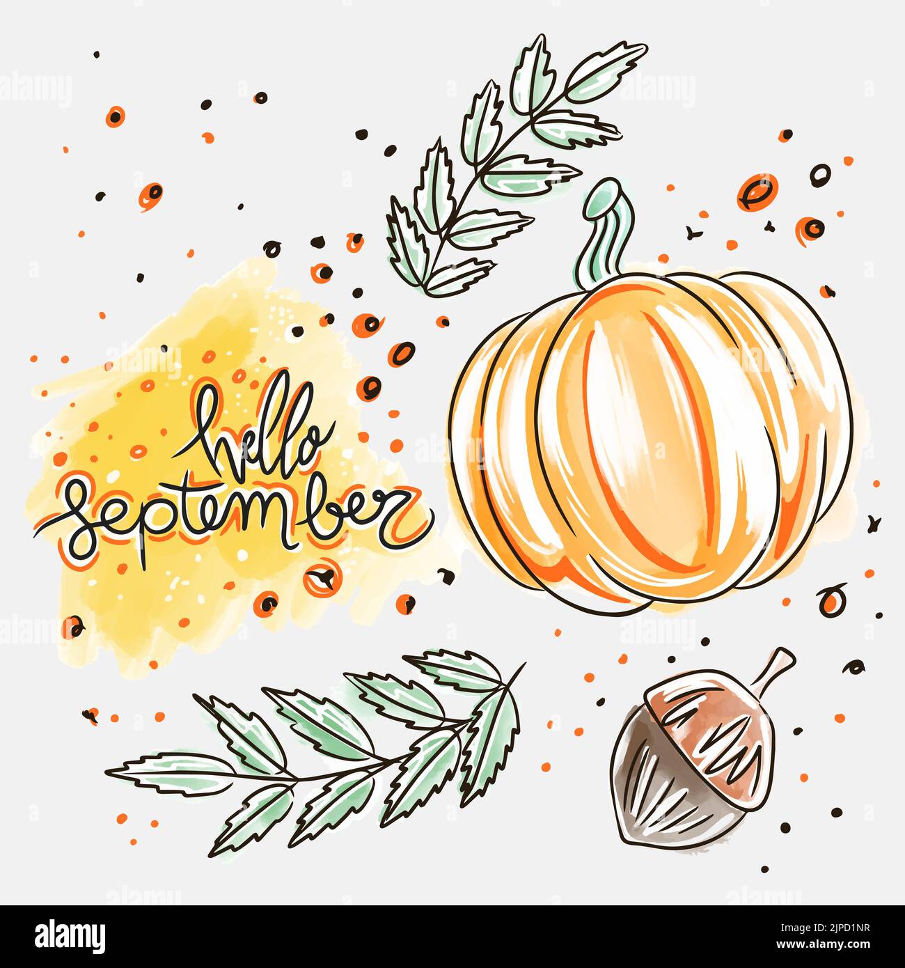 Hello September, handwritten lettering, autumn illustration, acorns ...