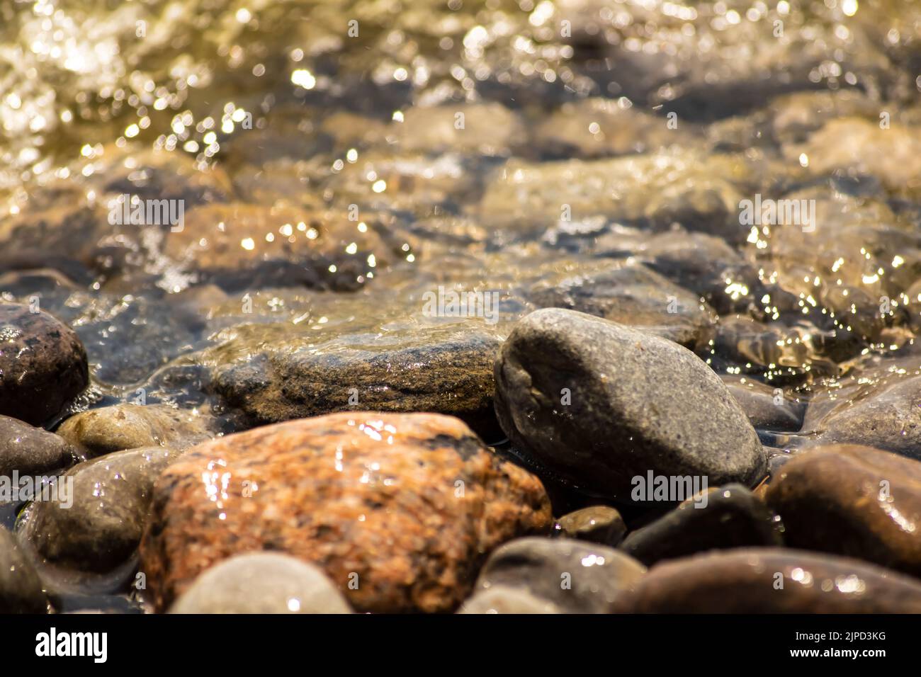 Navigating through nature hi-res stock photography and images - Alamy
