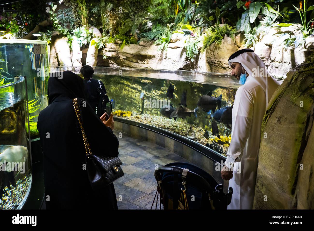 View of an Arab family walking through the Underwater Zoo at the Dubai ...