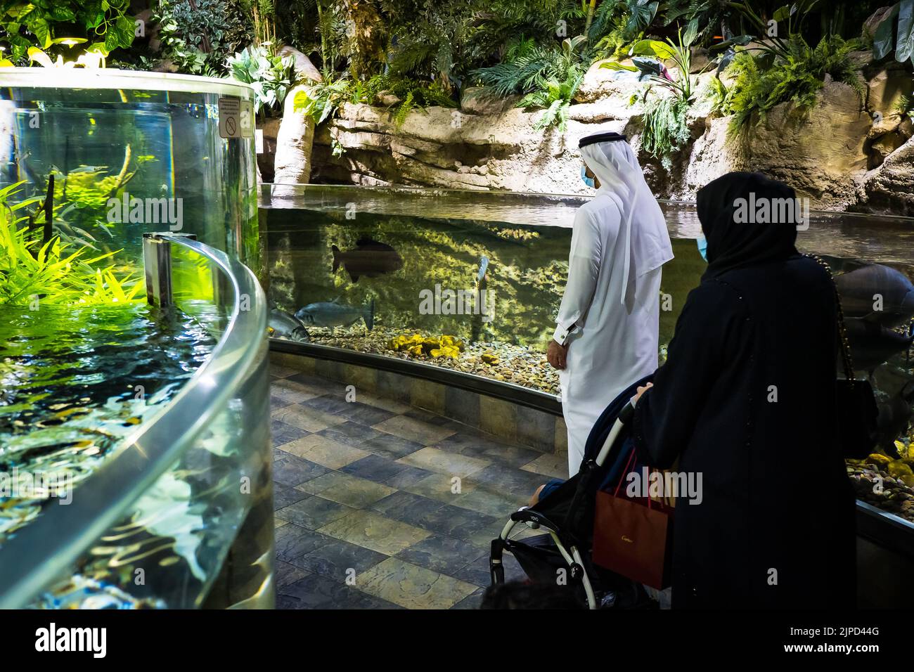 View of an Arab family walking through the Underwater Zoo at the Dubai ...