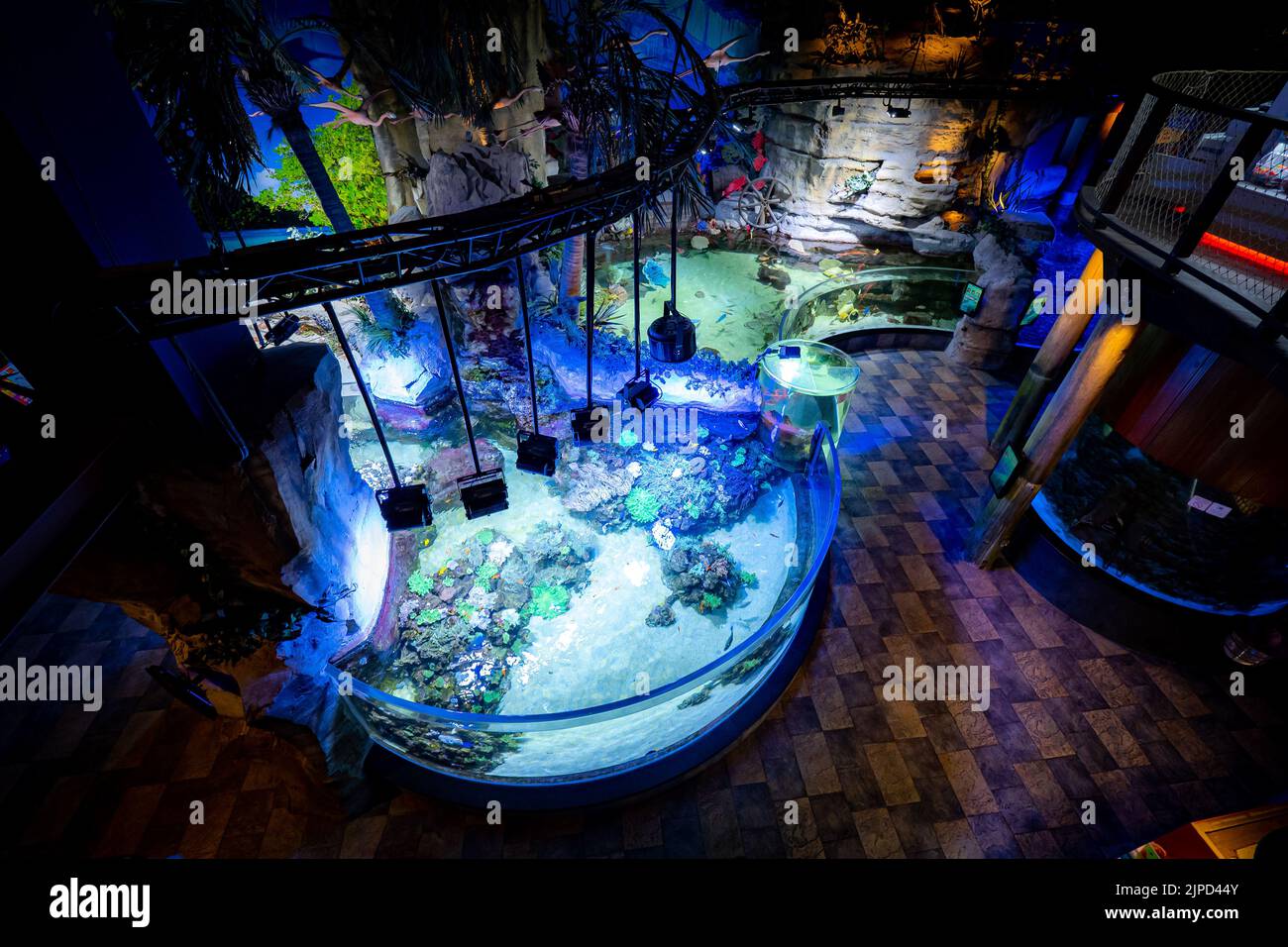 High angle view of some of the saltwater and freshwater aquariums at ...