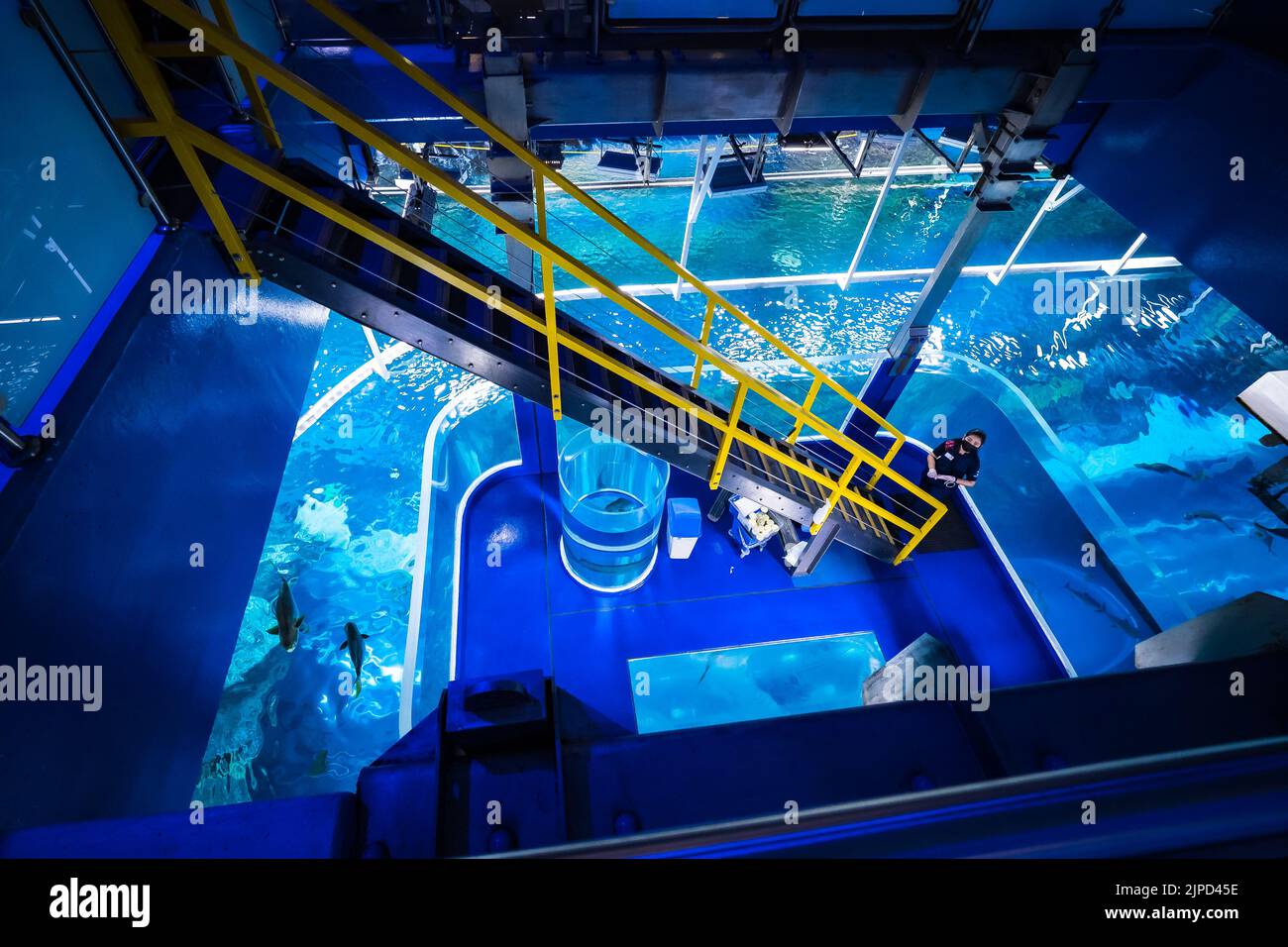 High angle view of the fish feeding platform in the Underwater Zoo at ...