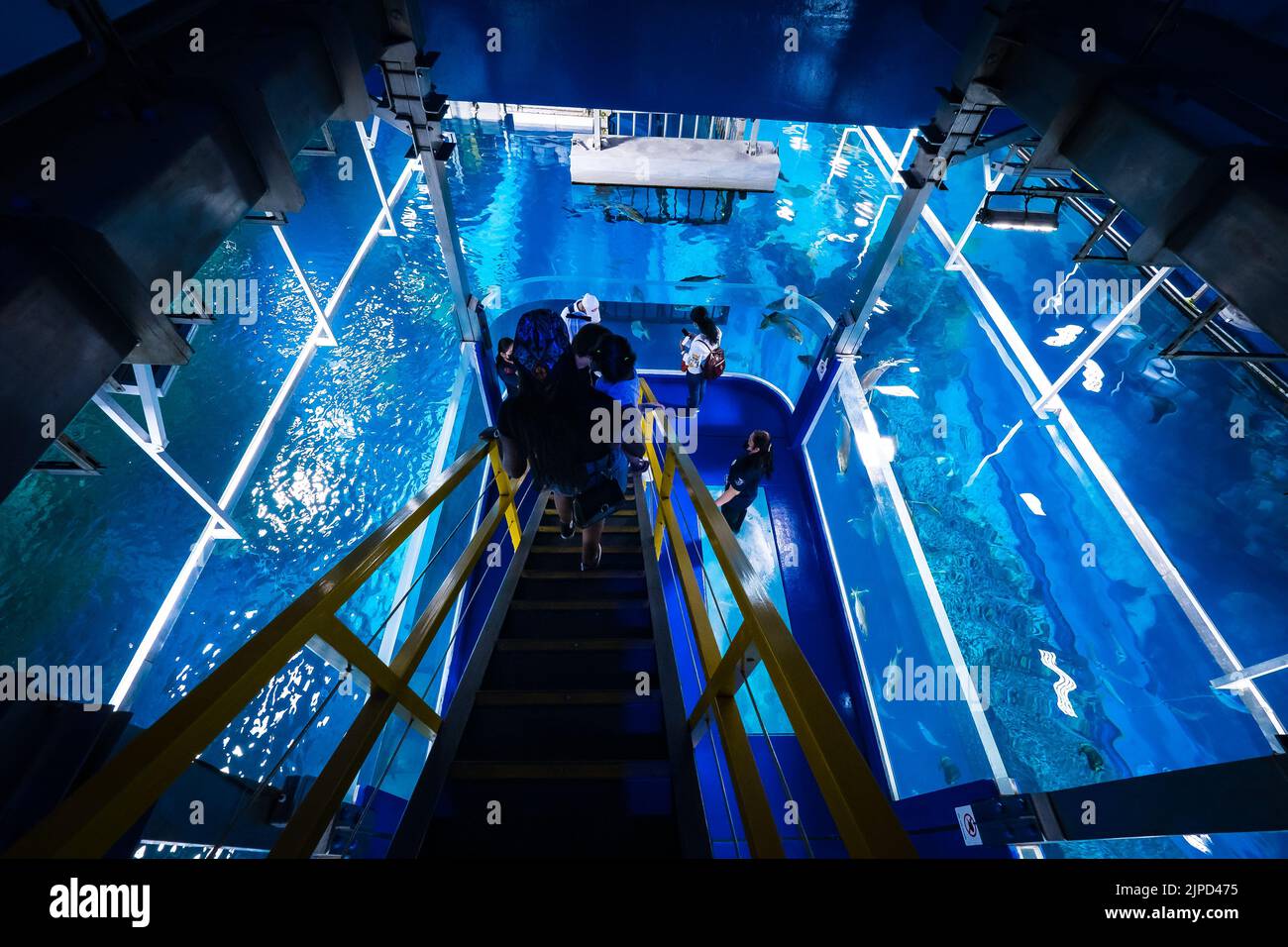 High angle view of people walking down the stairs to the fish feeding ...