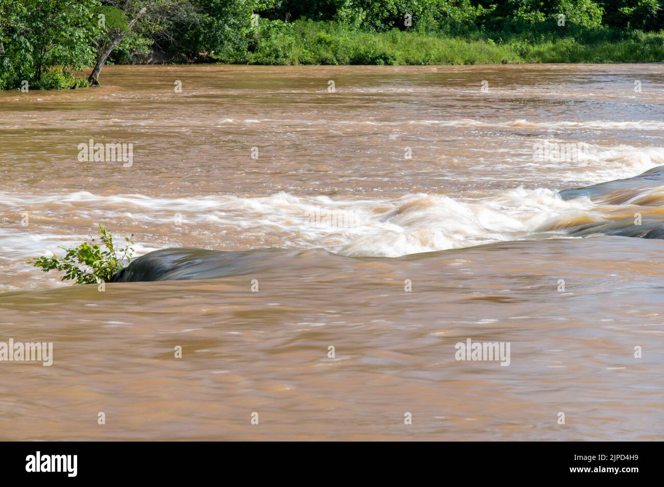 A brown polluted lake with green trees in the background, concept of ...