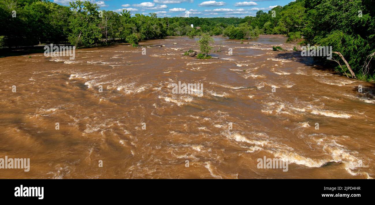 A brown polluted lake with green trees in the background, concept of ...