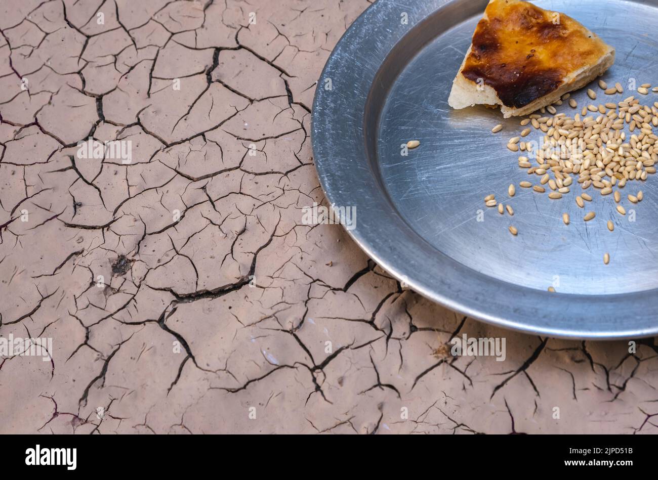 a small piece of bread and cereal grains left on the zinc plate. global ...