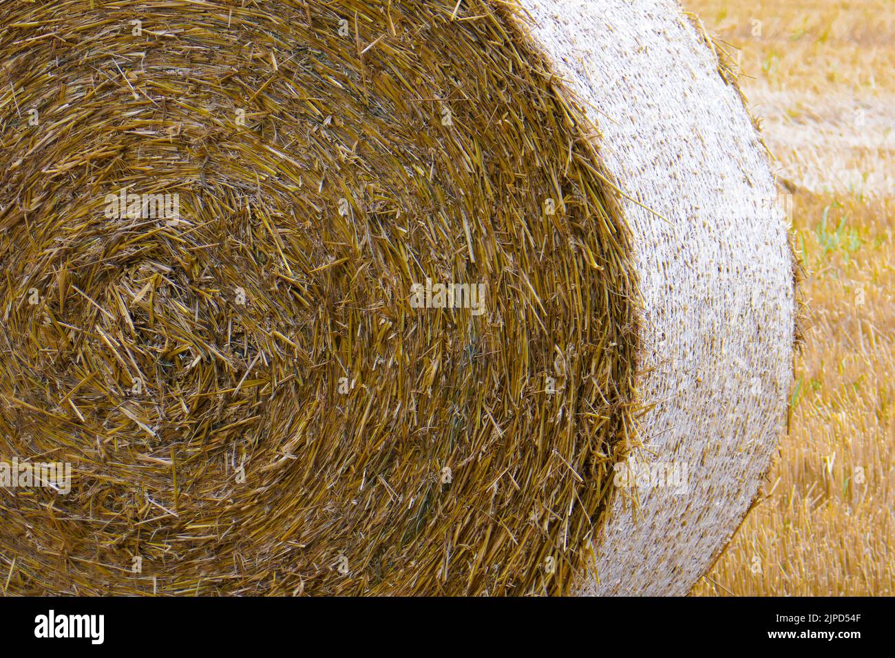 A hay roll in a field Stock Photo - Alamy
