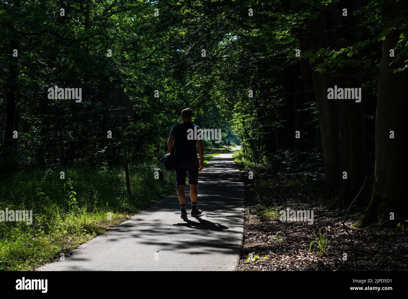 Man walking the hiking path in the shadow of trees at the Veluwe ...