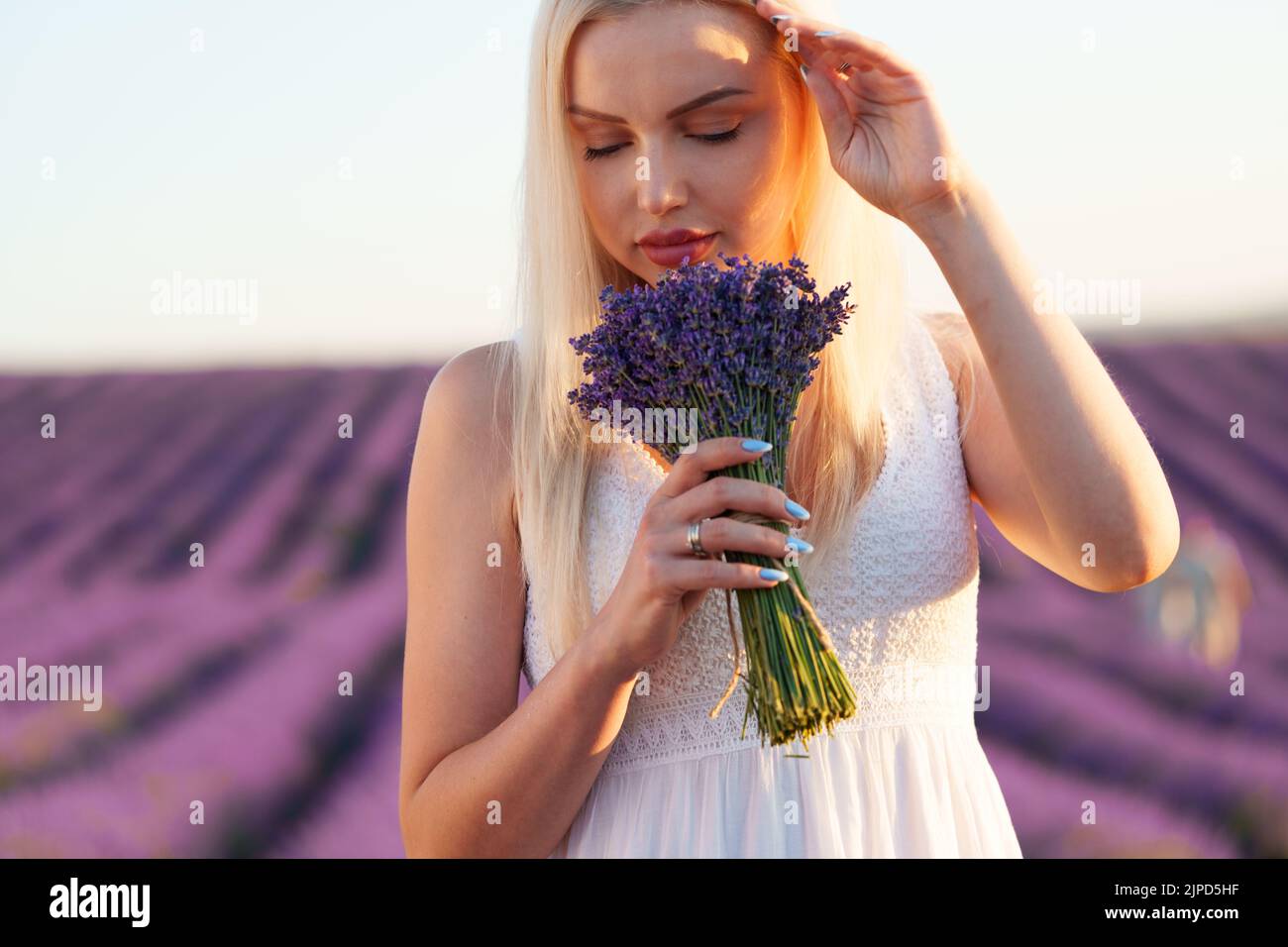 Portrait o charming blonde girl smells lavender flowers in lavender ...