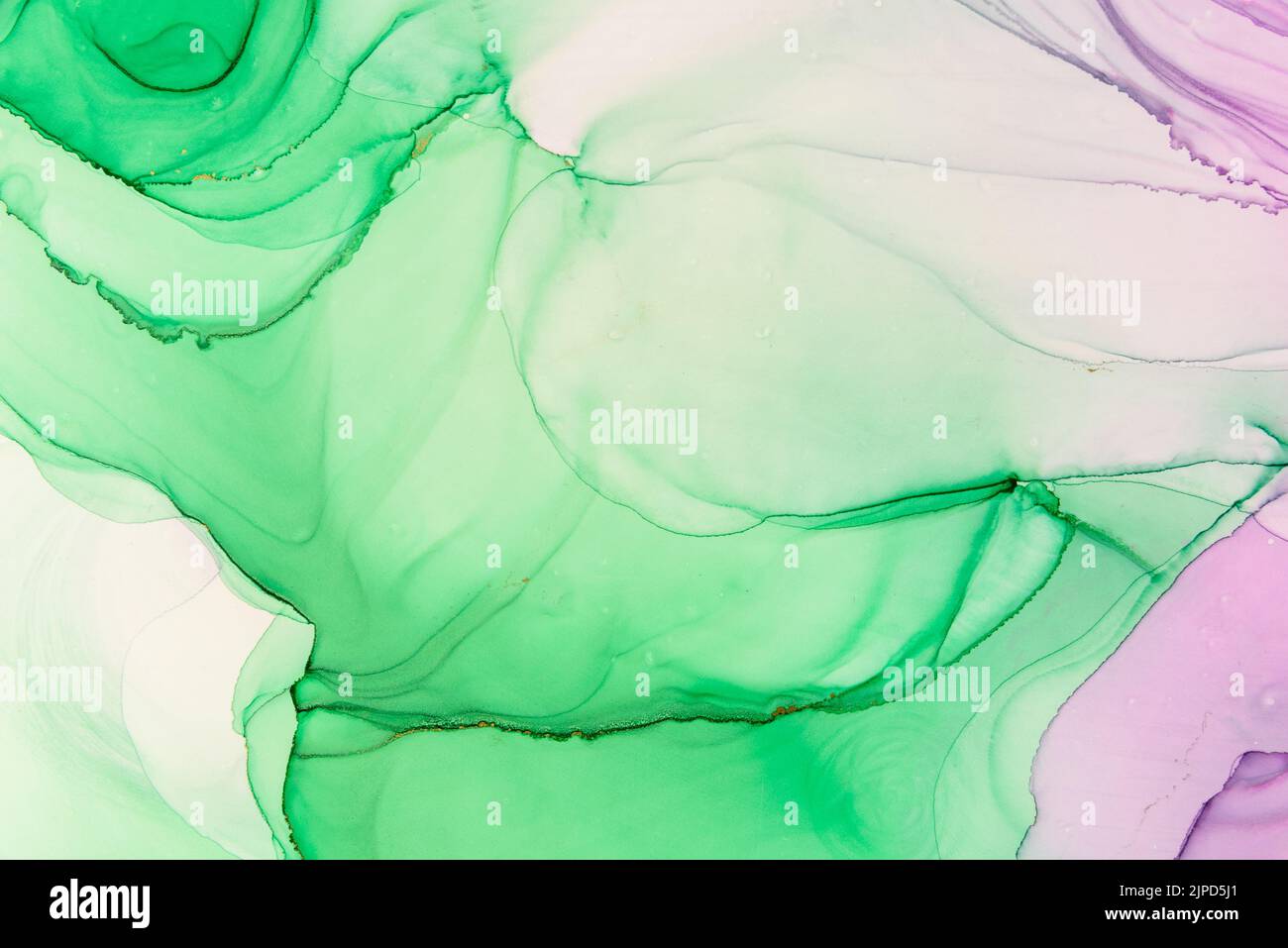 Abstract alcohol ink fluid art background. Green color with gold Stock ...
