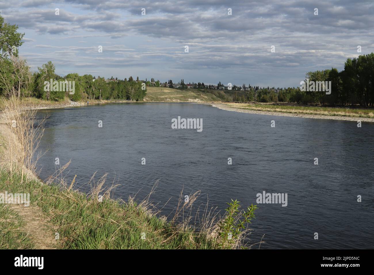 The view of the lake surrounded by green vegetation in Fish Creek Park ...