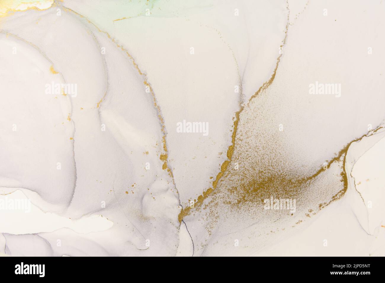 Abstract alcohol ink fluid art background. Grey color with gold Stock ...