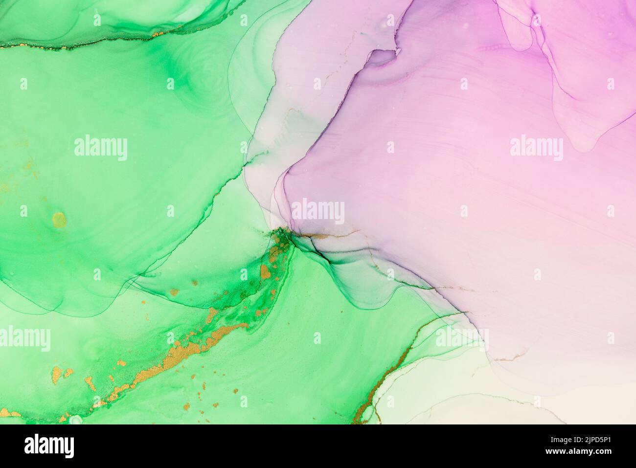 Abstract alcohol ink fluid art background. Green and purple color with ...