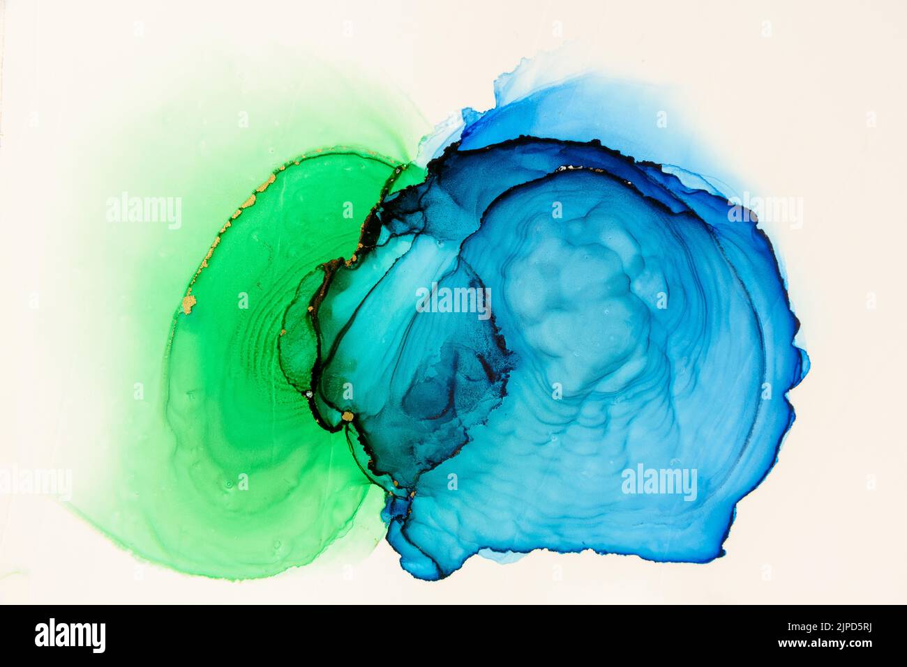 Abstract alcohol ink fluid art background. Green and blue color Stock ...