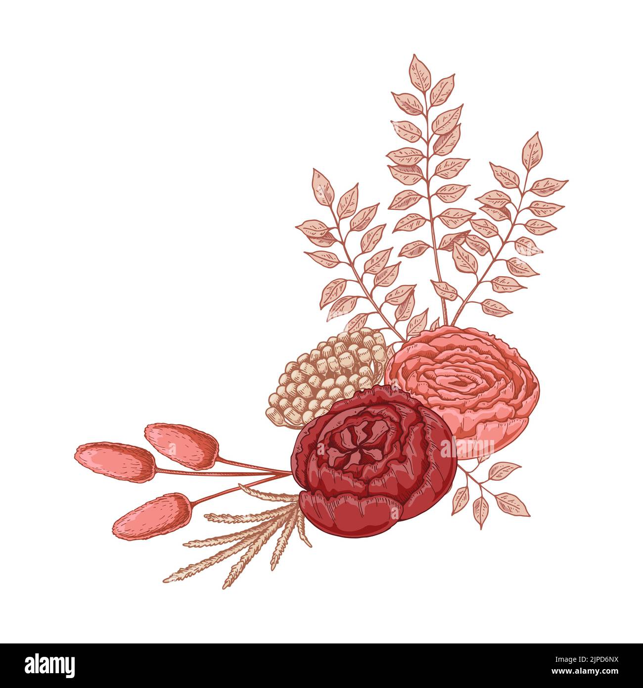 Modern dried flowers composition. Boho bouquet. Hand drawn vector illustration Stock Vector ...