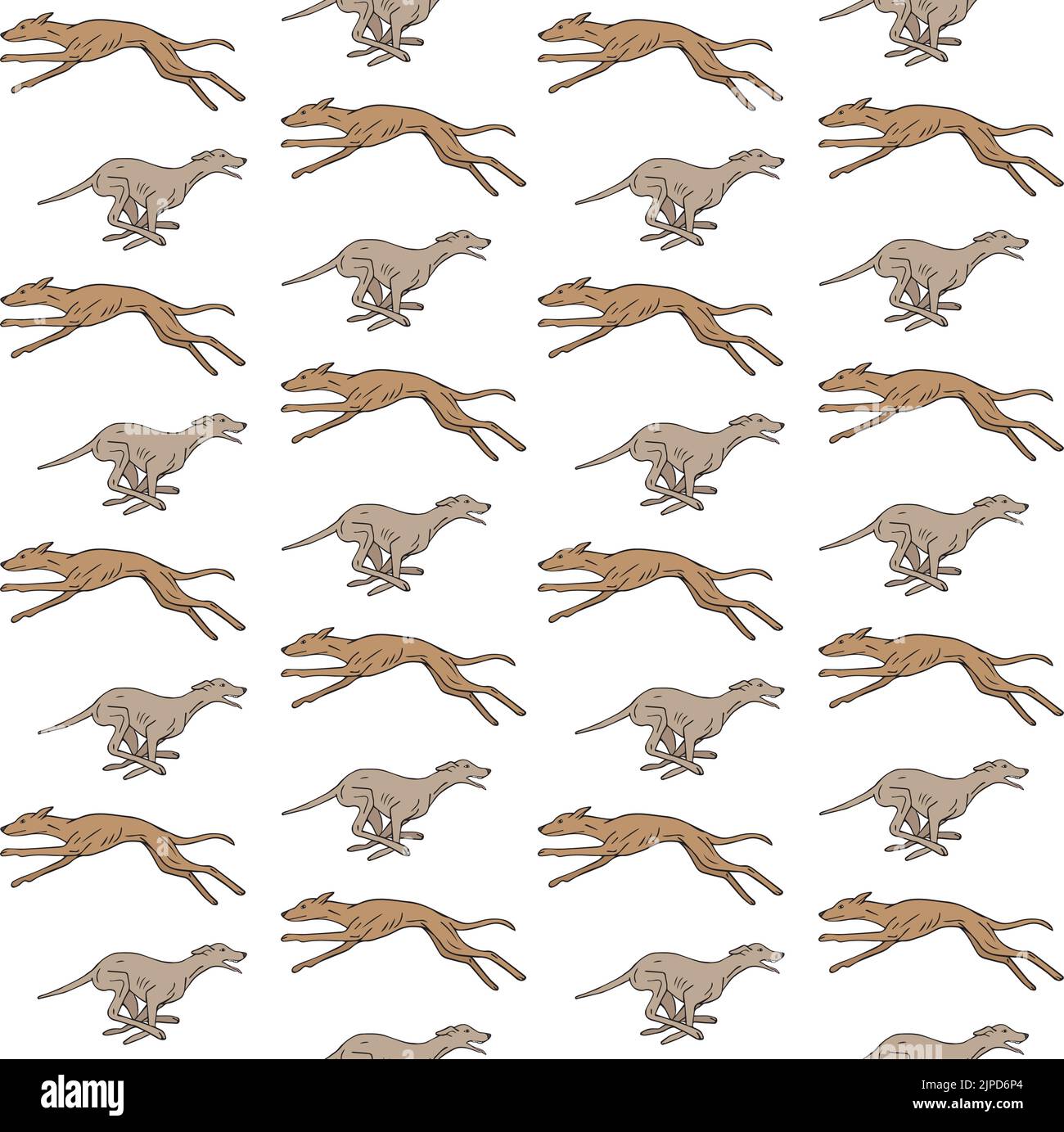 Vector seamless pattern of running whippet Stock Vector Image & Art - Alamy