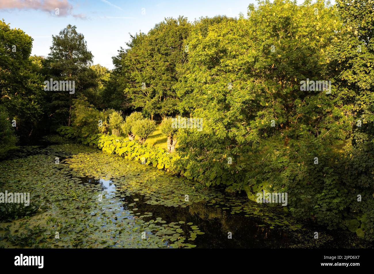 View over the green water and woods in a city park, Wageningen, The ...