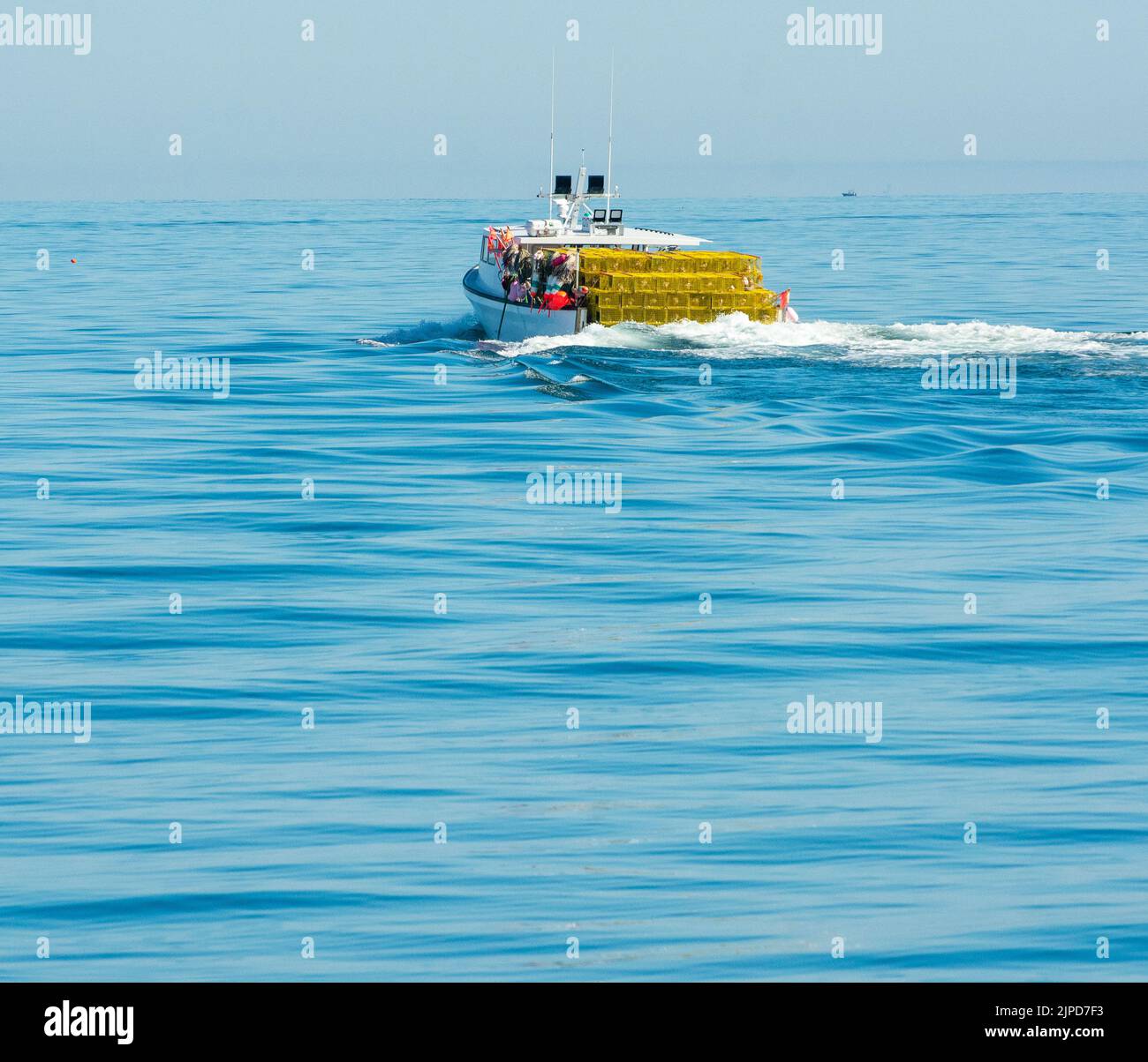 Employment activity hi-res stock photography and images - Alamy