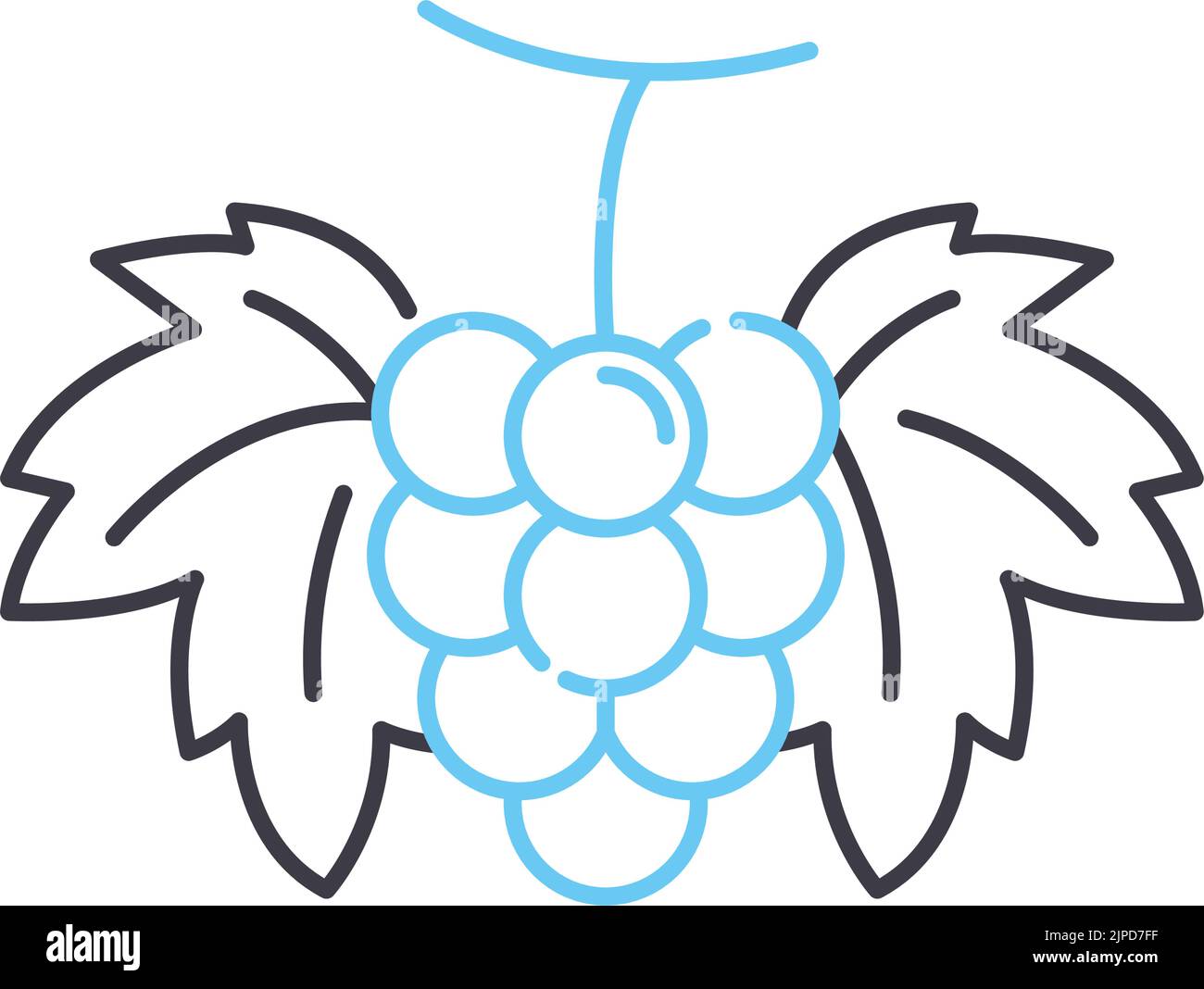 grape line icon, outline symbol, vector illustration, concept sign ...