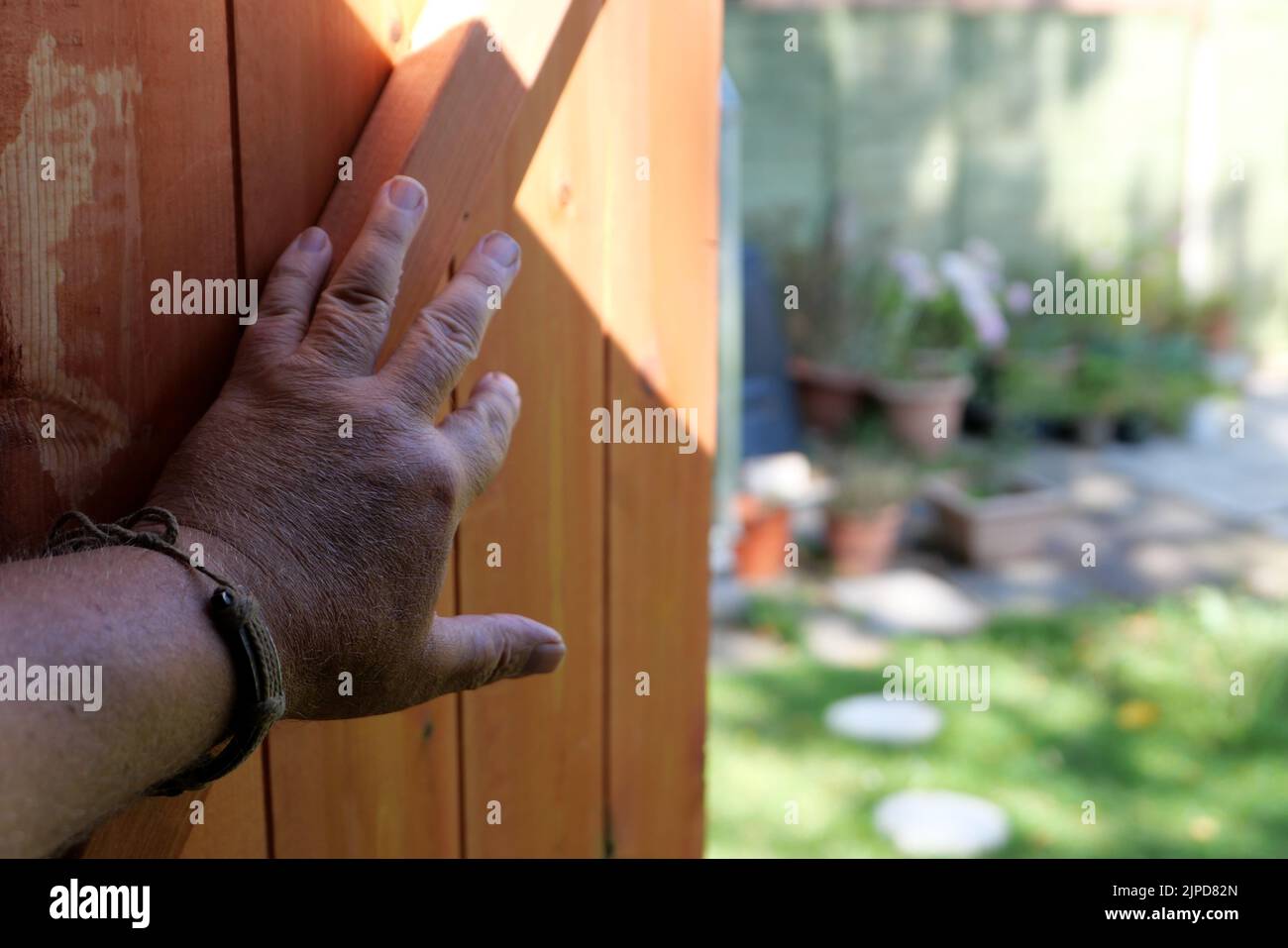 POV hand opening or closing a new wooden shed door Stock Photo - Alamy