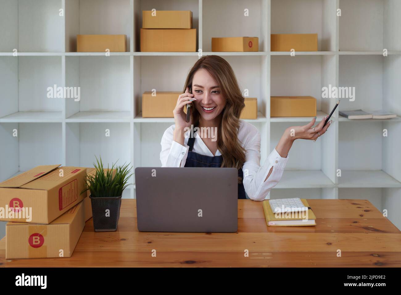 Asian SME business woman talking and making deal with customer Stock ...